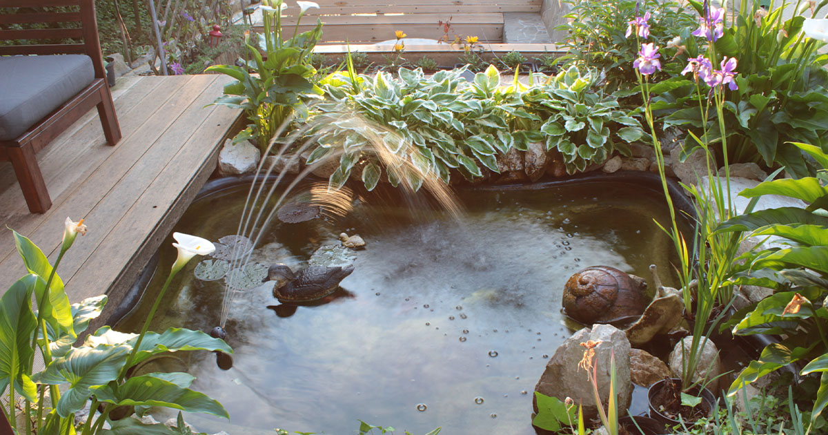 The Best Pond Building In Gulf Breeze, FL - Panhandle Ponds